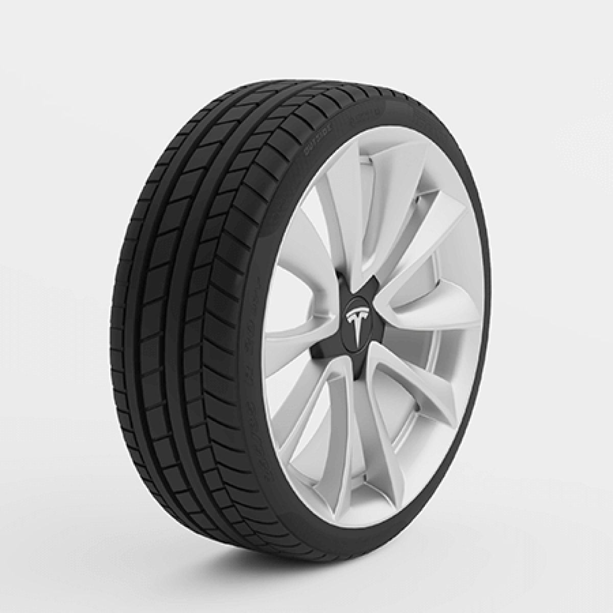 Portfolio | The Motion Tree