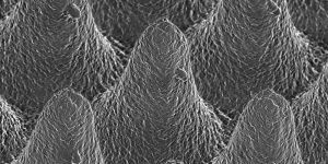 How to Make Textures for 3D Models | The Motion Tree