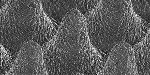 How to Make Textures for 3D Models | The Motion Tree